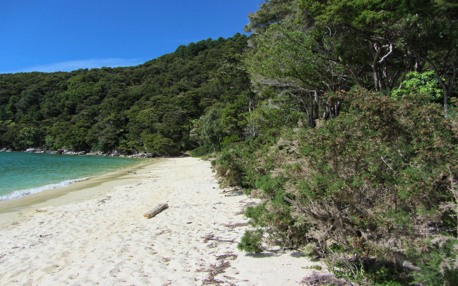 Bark Bay / Abel Tasman / South Island // World Beach Guide