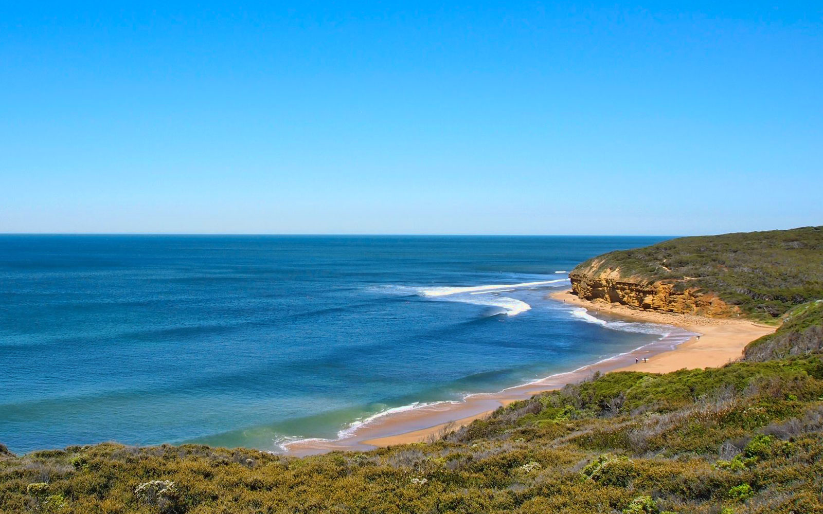 Can You Take Dogs To Bells Beach