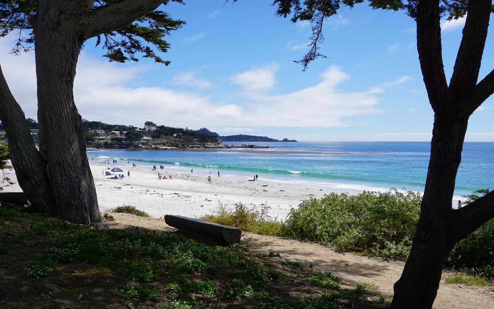 Carmel Beach / Central California / California // World Beach Guide