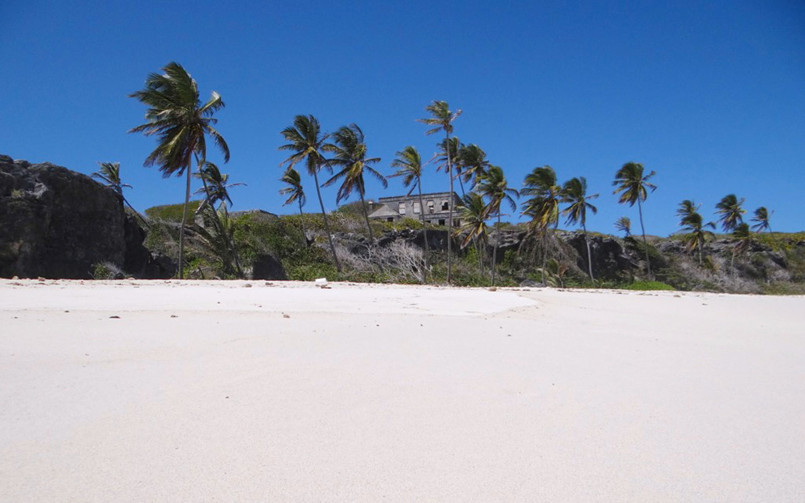 Harrismith Beach / Barbados / The Caribbean // World Beach Guide