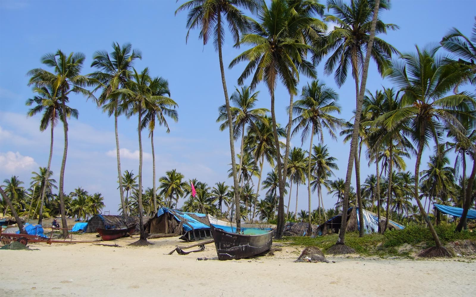 Colva Beach / Goa / India // World Beach Guide
