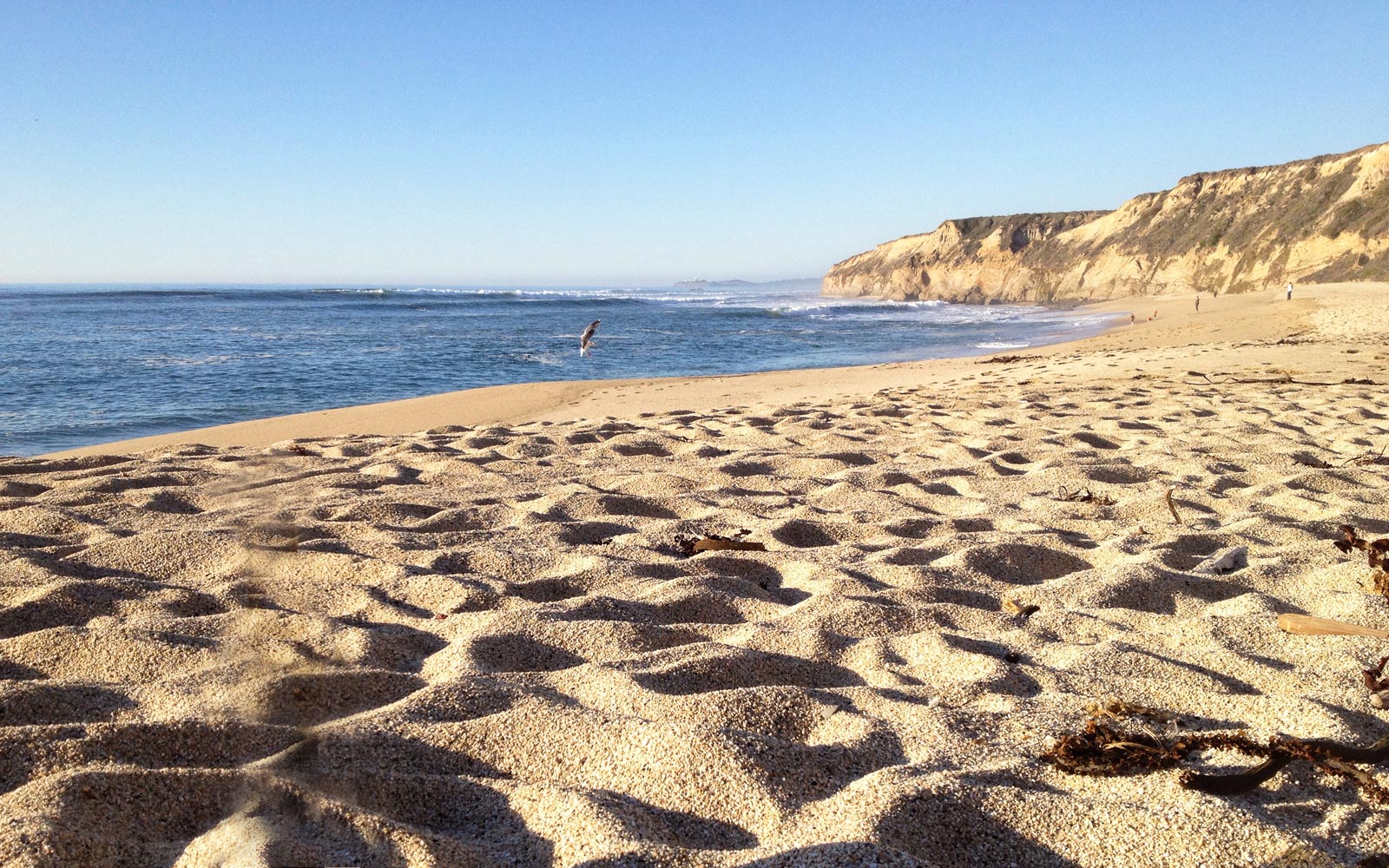 Cowell Ranch Beach / Northern California / California // World Beach Guide