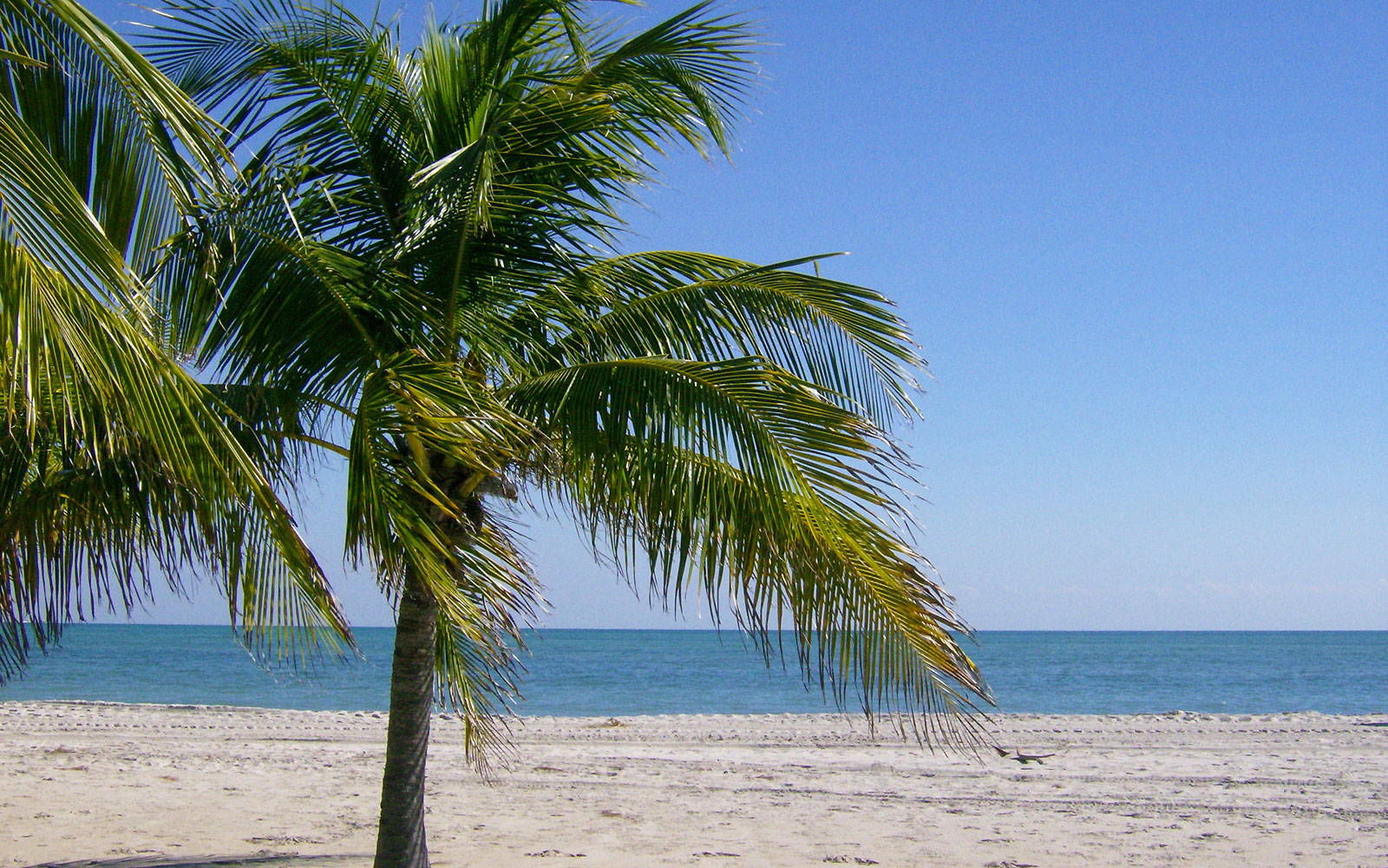 Crandon Beach / South Florida / Florida // World Beach Guide