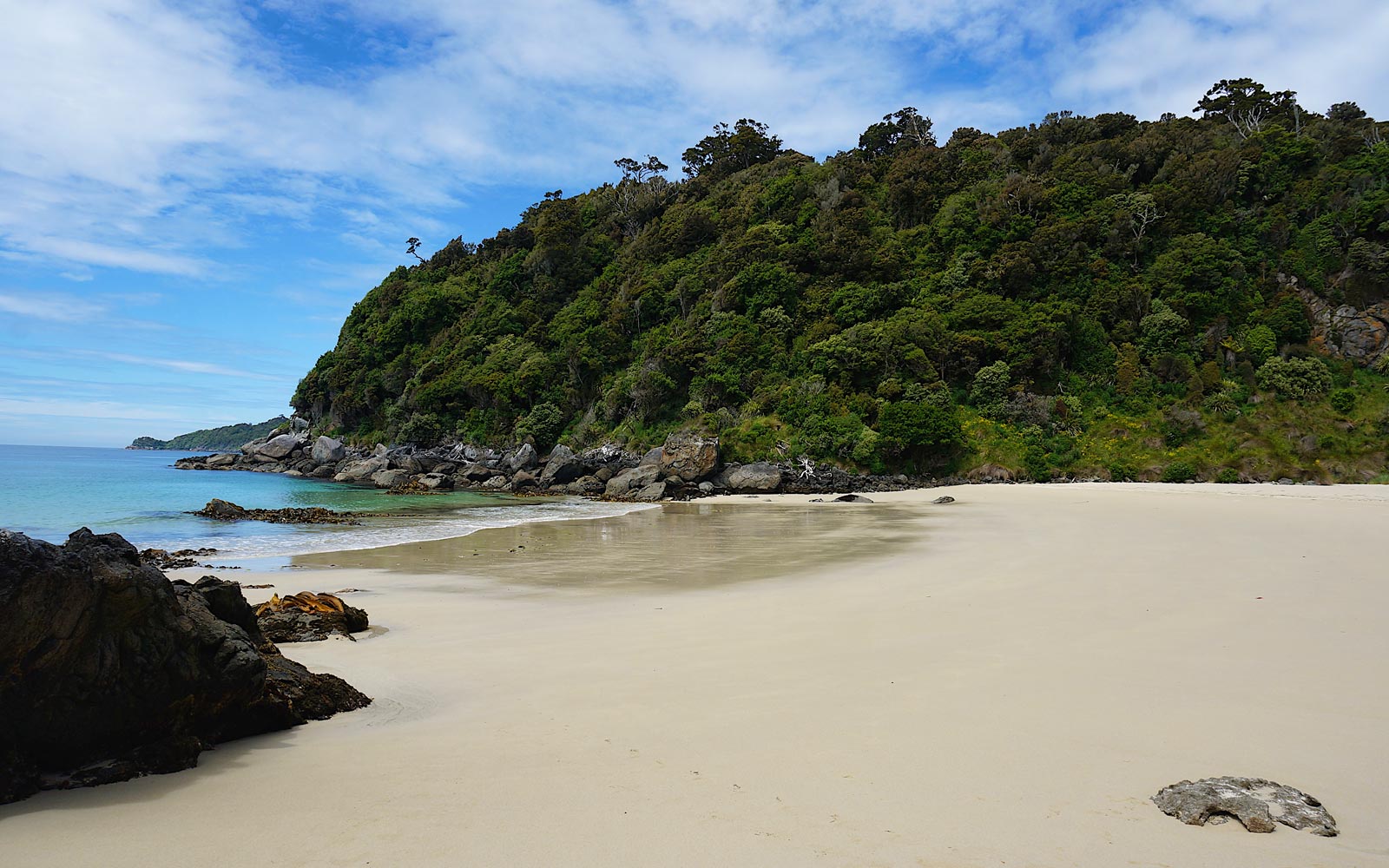 Dead Man Beach / Stewart Island / South Island // World Beach Guide