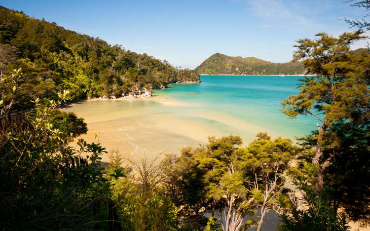 Abel Tasman National Park Beach / New Zealand / South Island // World ... Abel Tasman National Park Beach / New Zealand / South Island // World ...