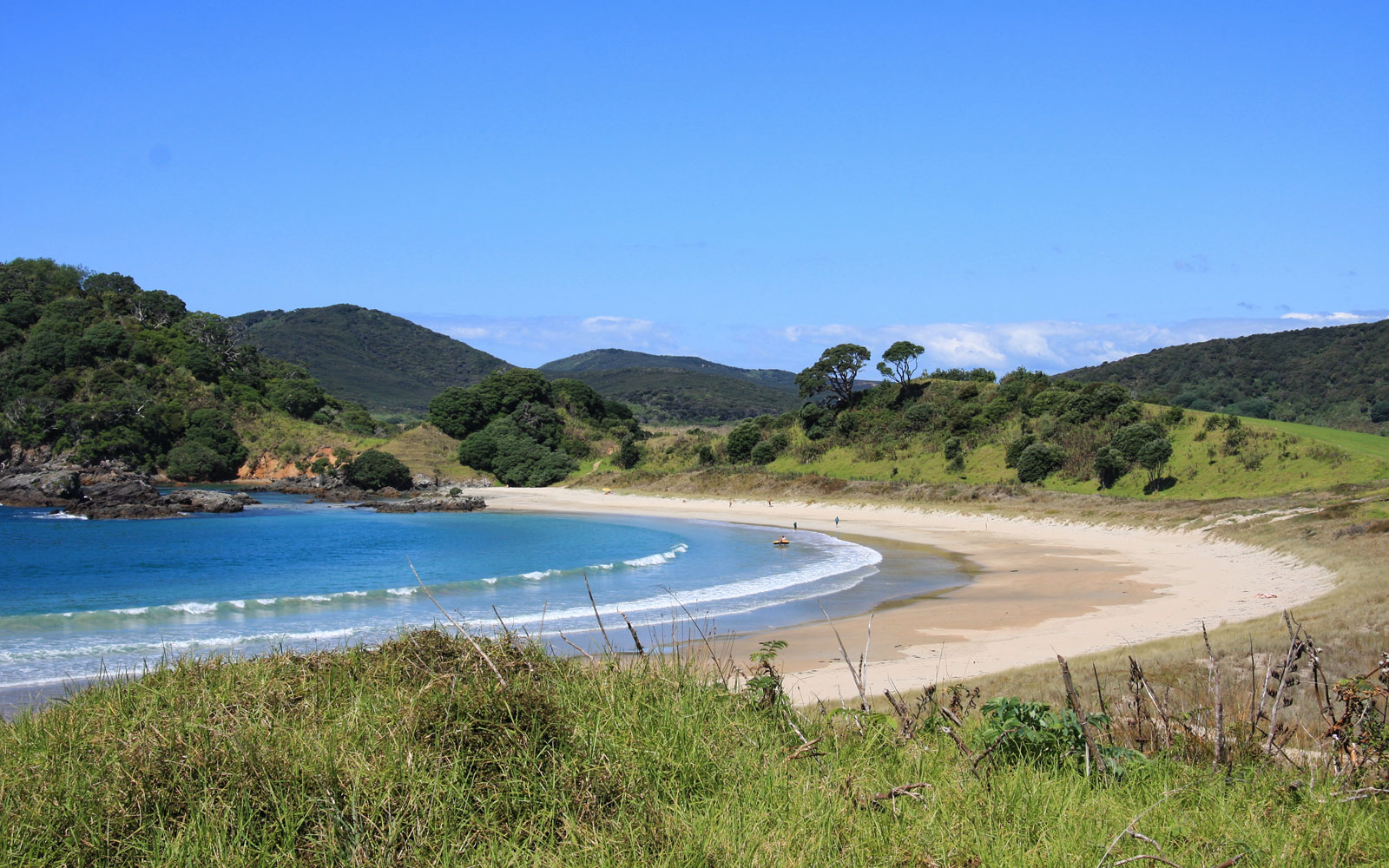 Matai Bay / North Island / New Zealand // World Beach Guide