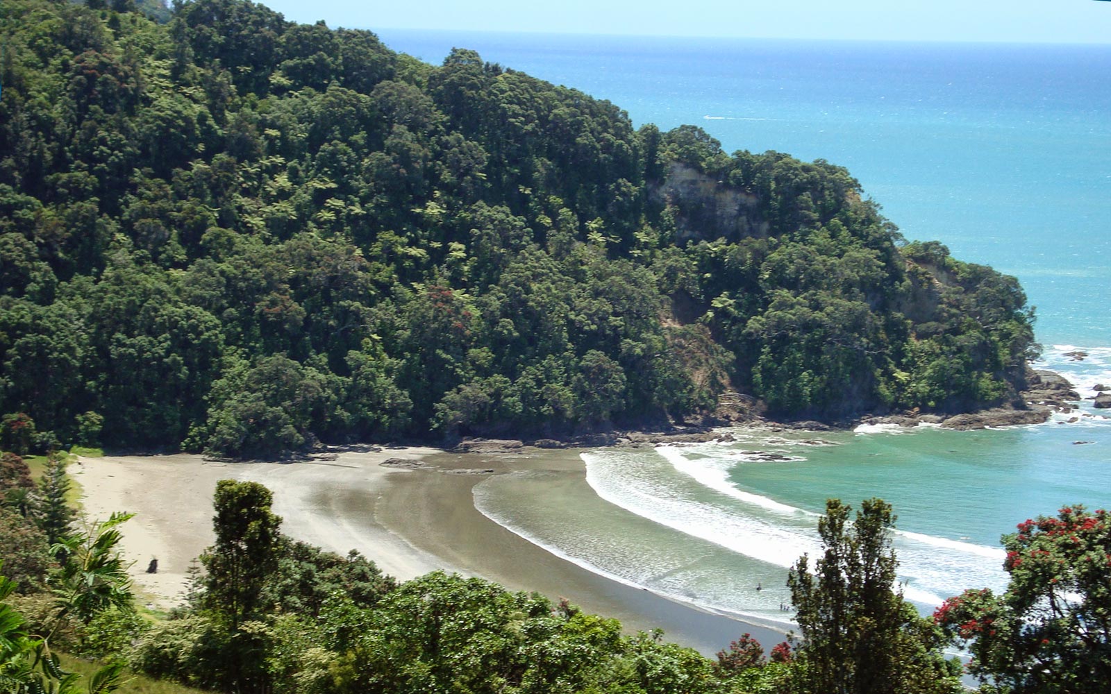 Ohope Beach / Bay of Plenty / North Island // World Beach Guide