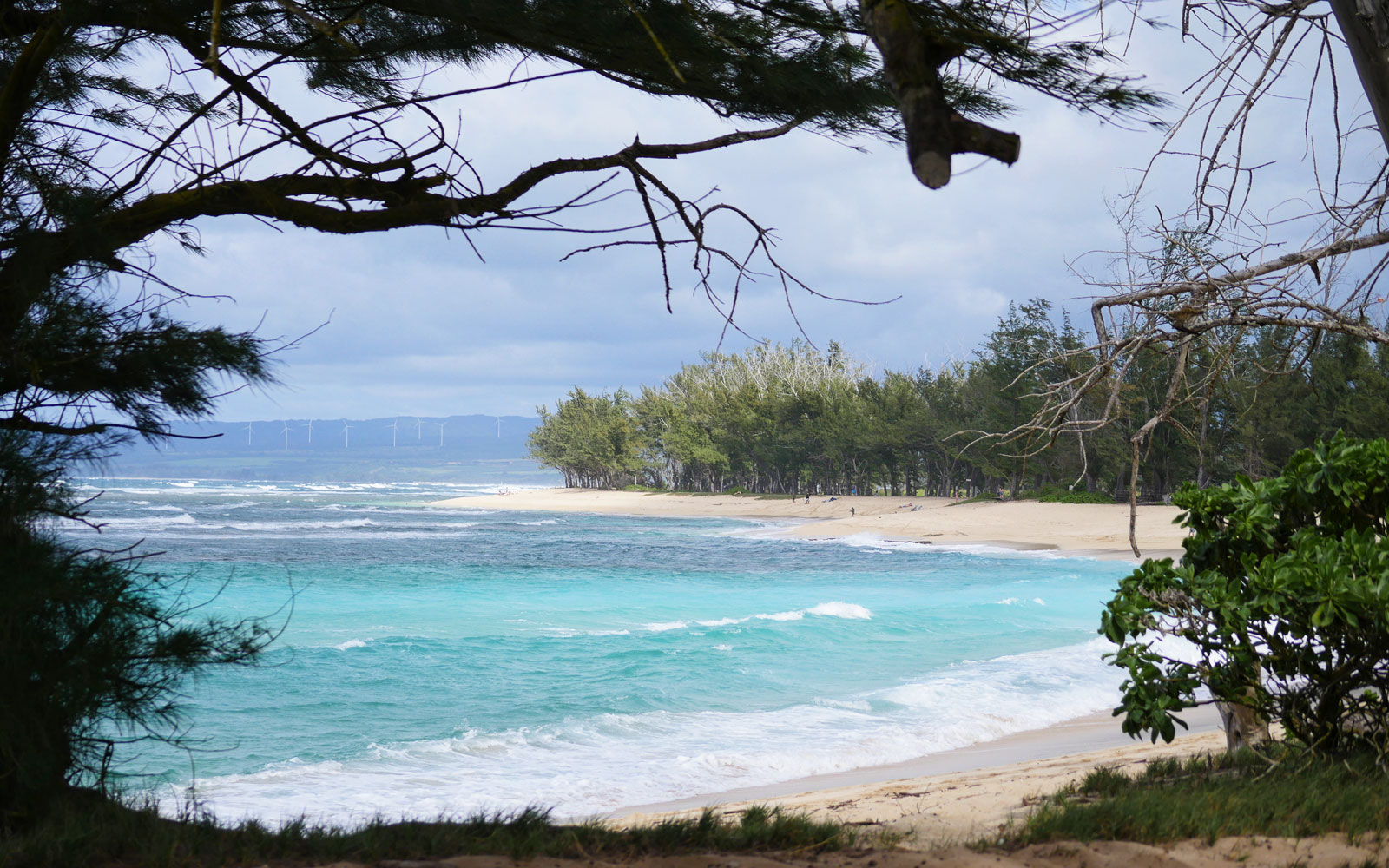 Polo Beach / Oahu / Hawaii // World Beach Guide