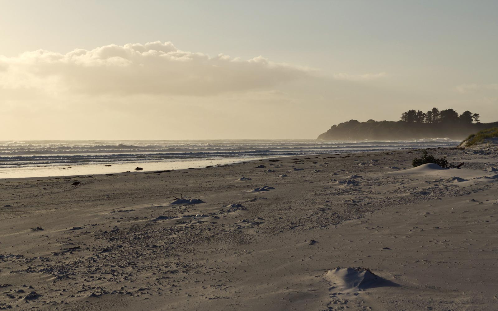 Rarawa Beach / North Island / New Zealand // World Beach Guide
